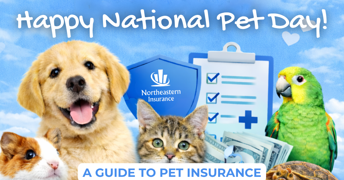 National Pet Day: A Guide to Pet Insurance - Northeastern Insurance
